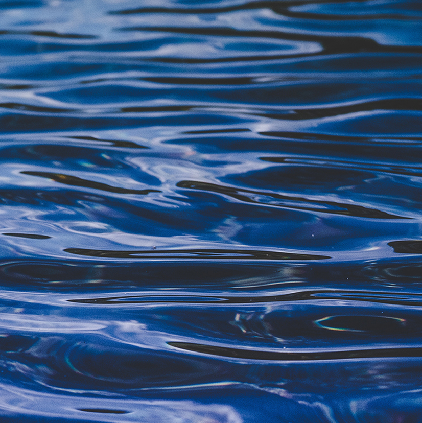 Totalitarian Toryism | Scottish Fabian